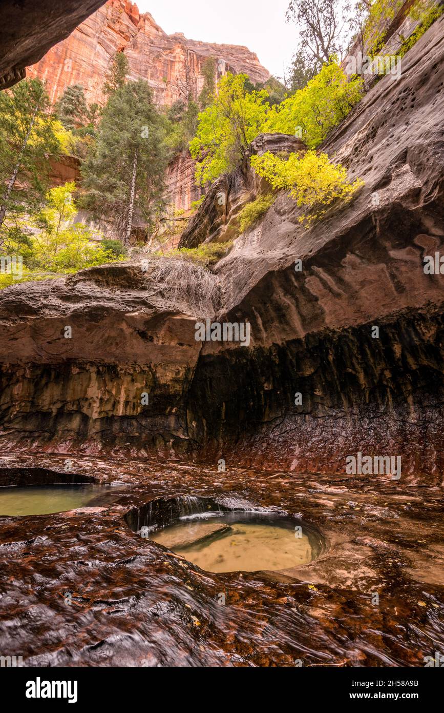 Magnificent Subway gorge landmark in the Zion National Park in Utah ...