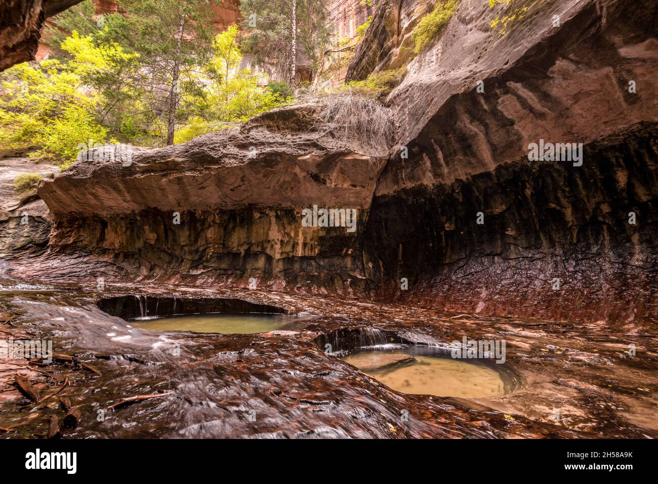 Magnificent Subway gorge landmark in the Zion National Park in Utah ...