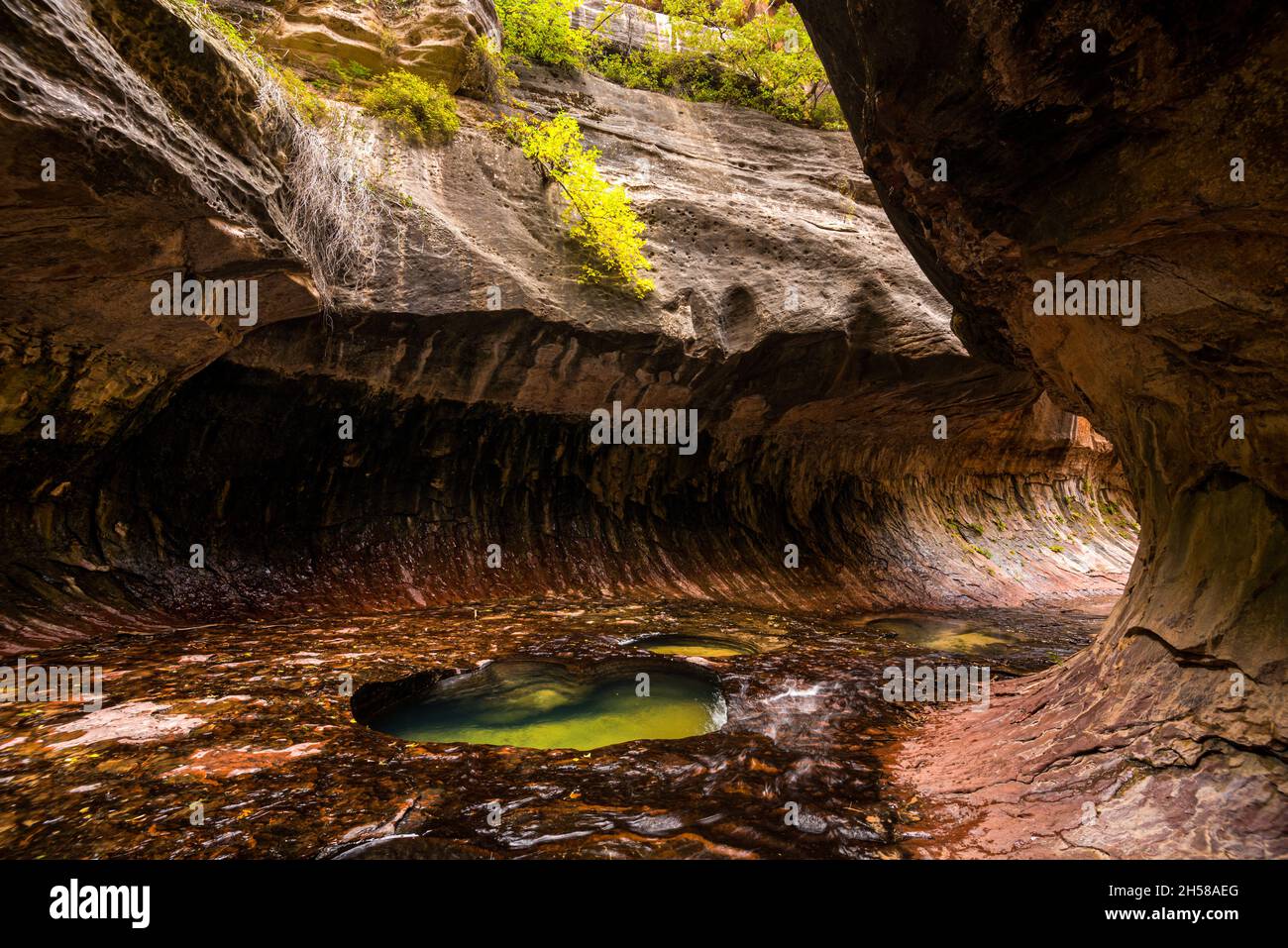 Magnificent Subway gorge landmark in the Zion National Park in Utah ...