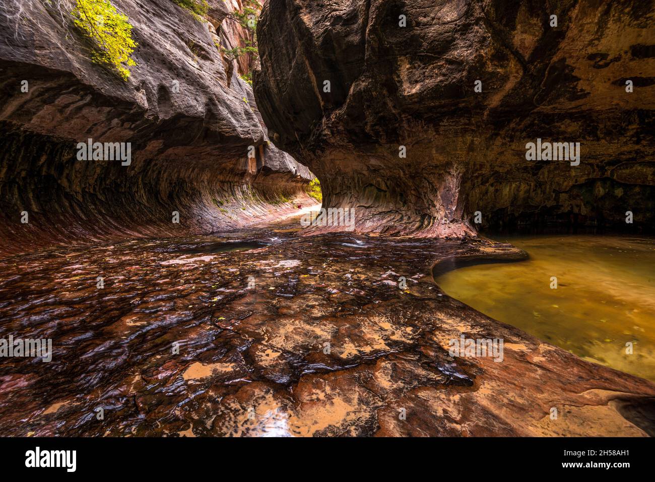 Magnificent Subway gorge landmark in the Zion National Park in Utah ...
