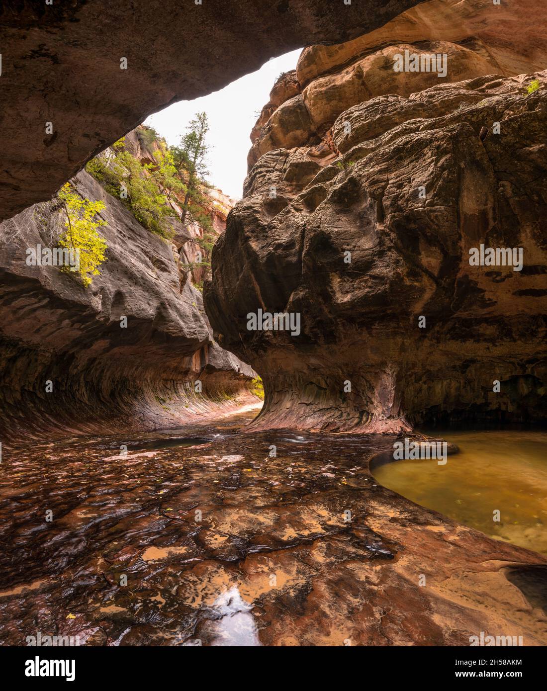 Magnificent Subway gorge landmark in the Zion National Park in Utah ...