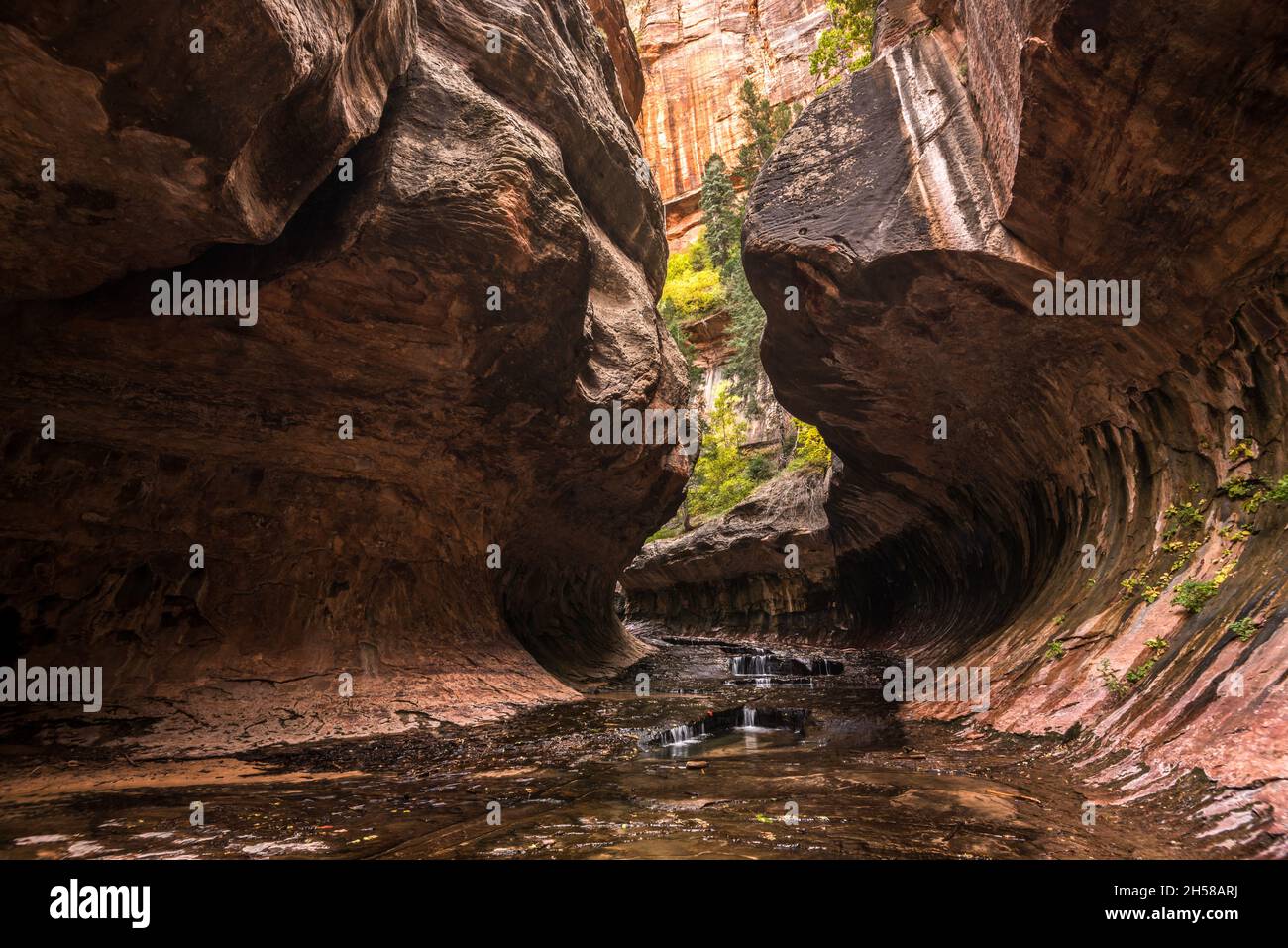 Magnificent Subway gorge landmark in the Zion National Park in Utah ...