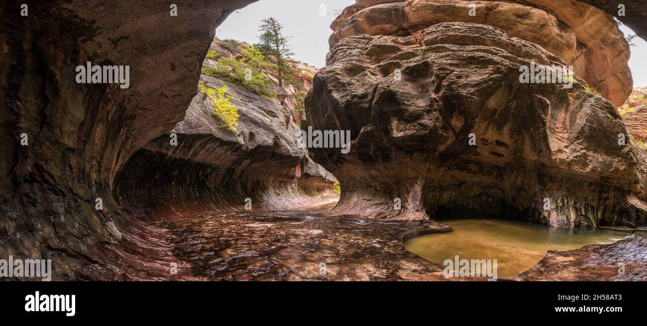 Magnificent Subway gorge landmark in the Zion National Park in Utah ...