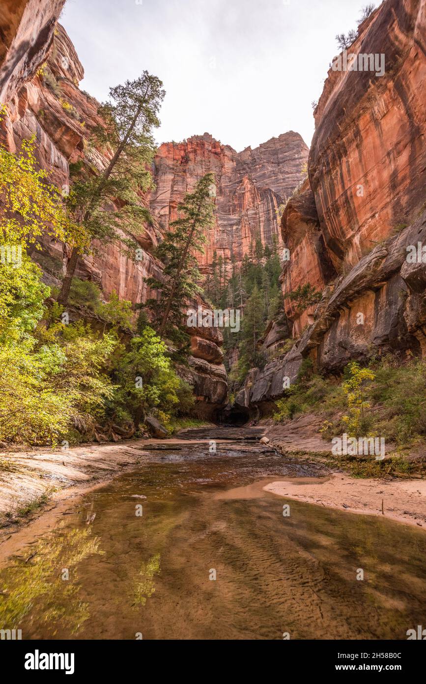 Magnificent Subway gorge landmark in the Zion National Park in Utah ...