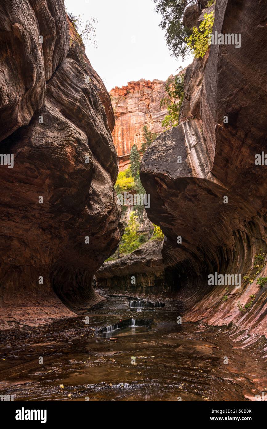 Magnificent Subway gorge landmark in the Zion National Park in Utah ...