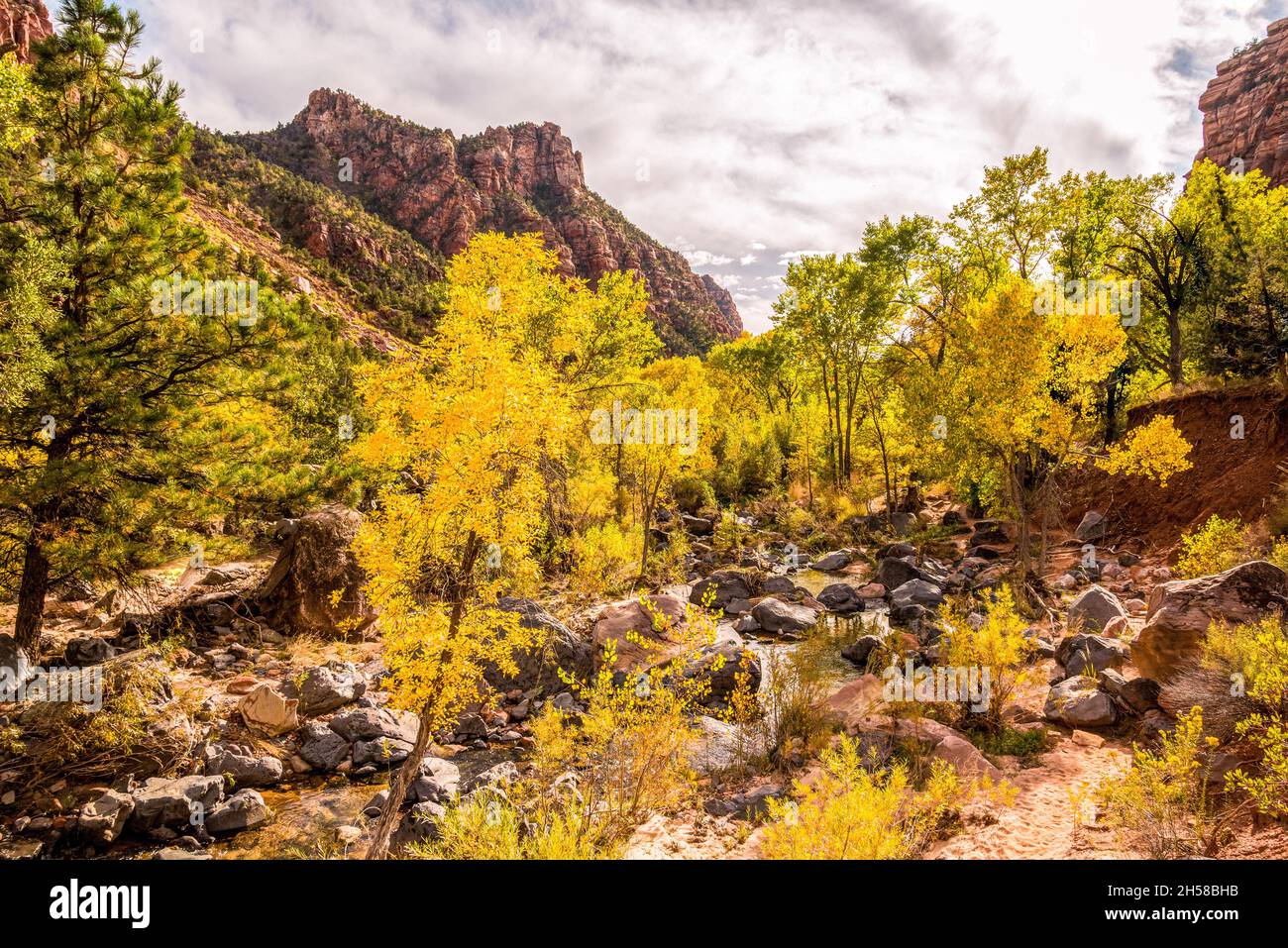 Wild untouched landscape surrounding the Left Fork Creek in Zion NP ...