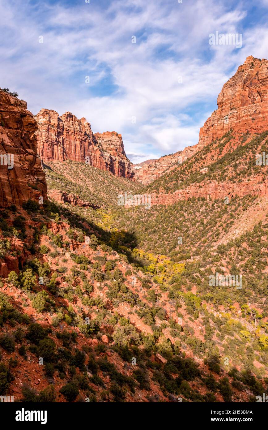 Gorgous landscape of Left Fork Trail to the Subway gorge, Zion NP, USA ...