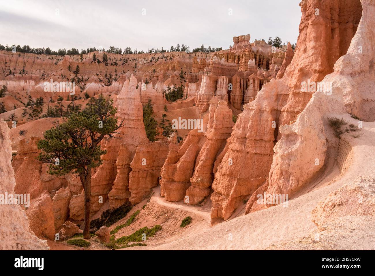 Scenic rocks from the Navajo Loop Trail leading through Bryce Canyon ...