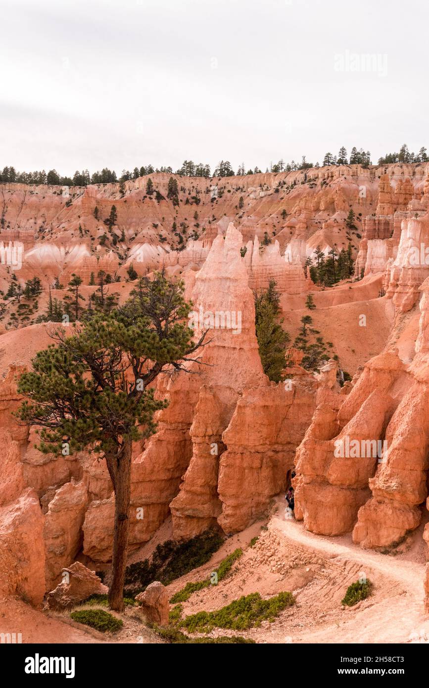 Traveler loop hi-res stock photography and images - Alamy
