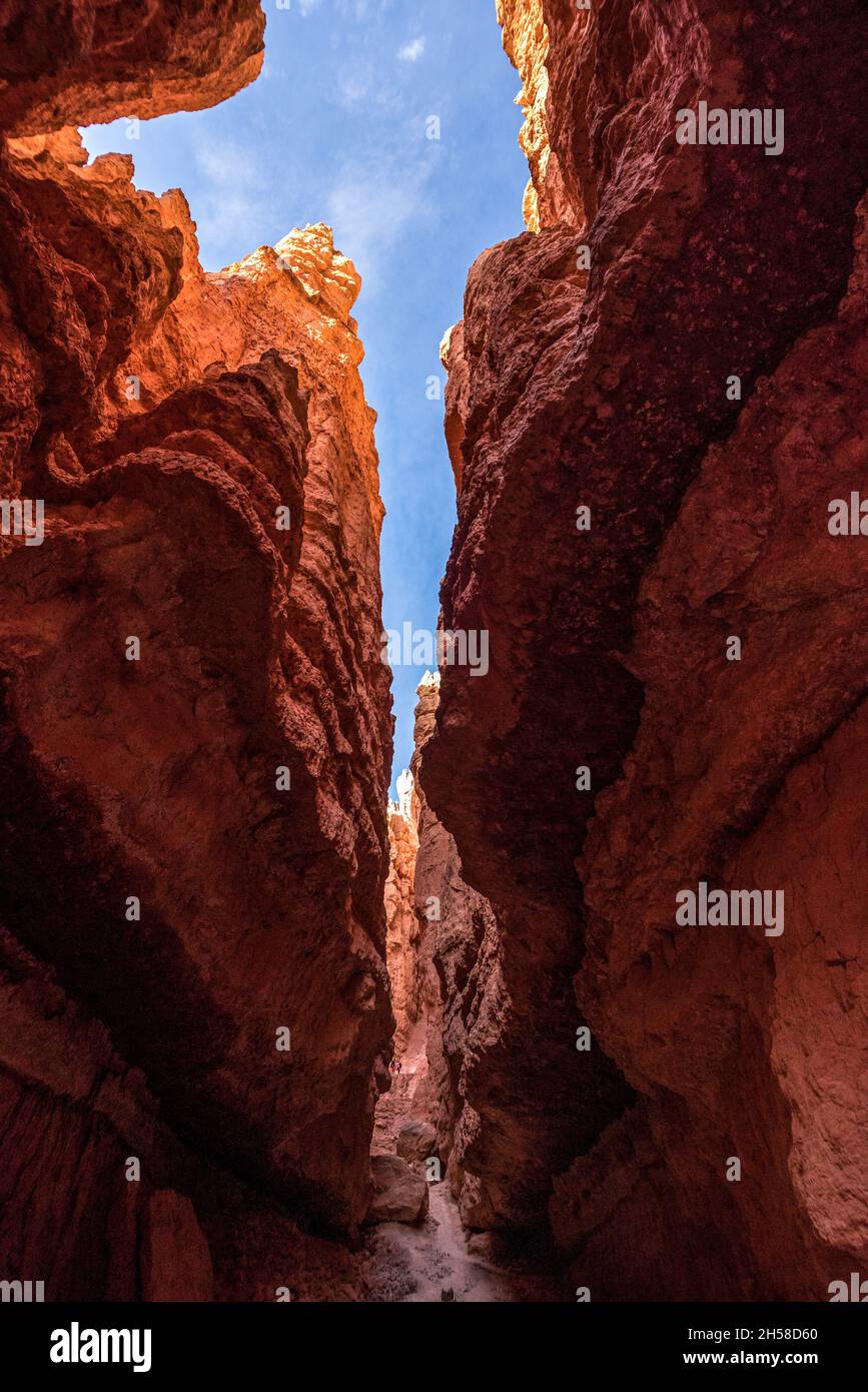 Iconic Wall Street gorge in the Bryce Canyon valley in Utah, USA Stock ...