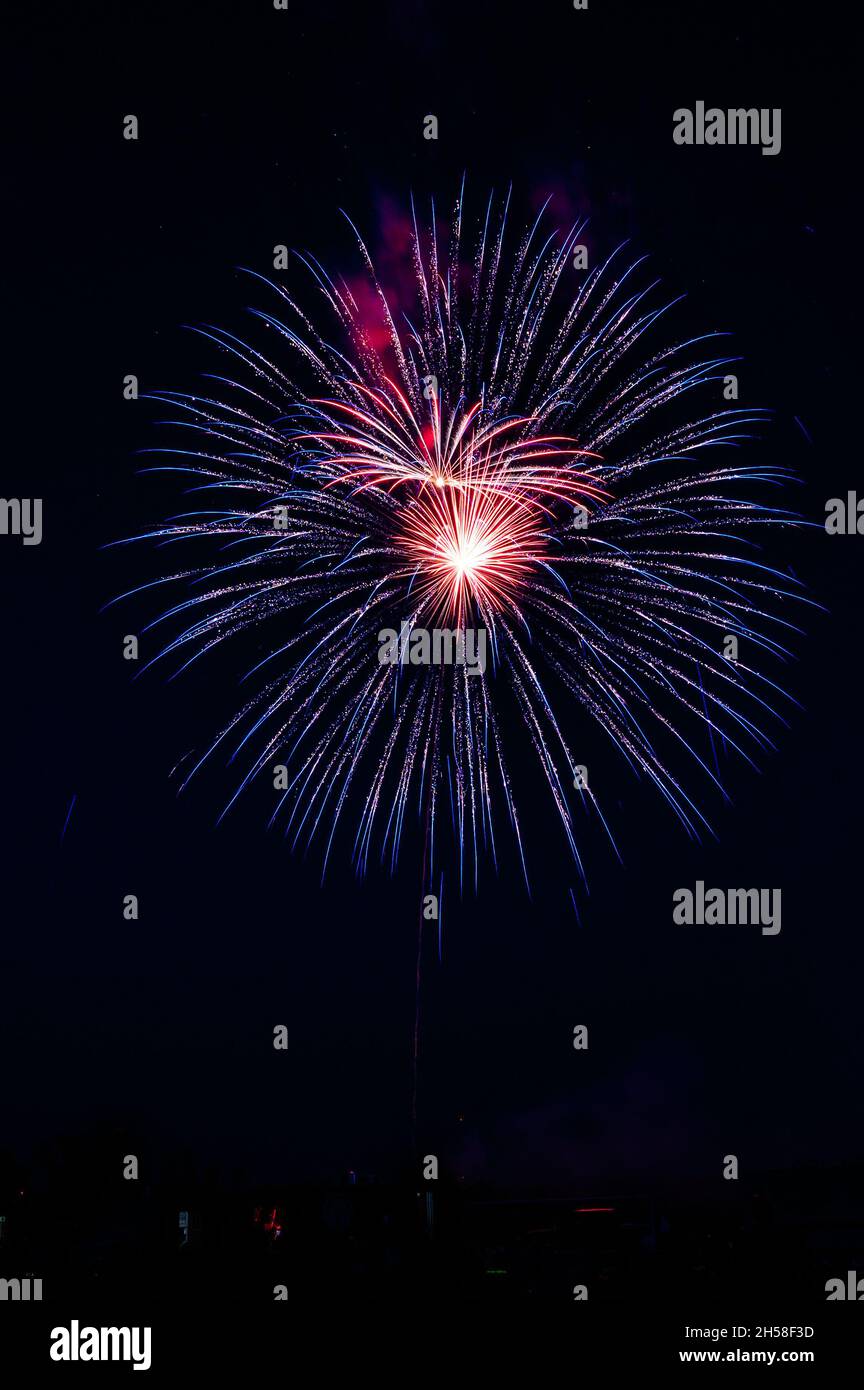 An enchanting rain firework in the night sk Stock Photo - Alamy