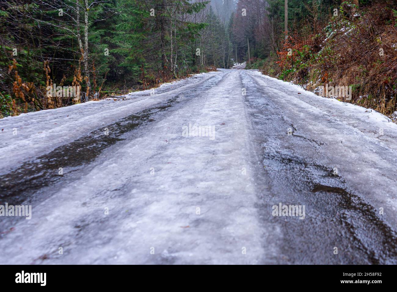 Ice path in the forest Stock Photo - Alamy