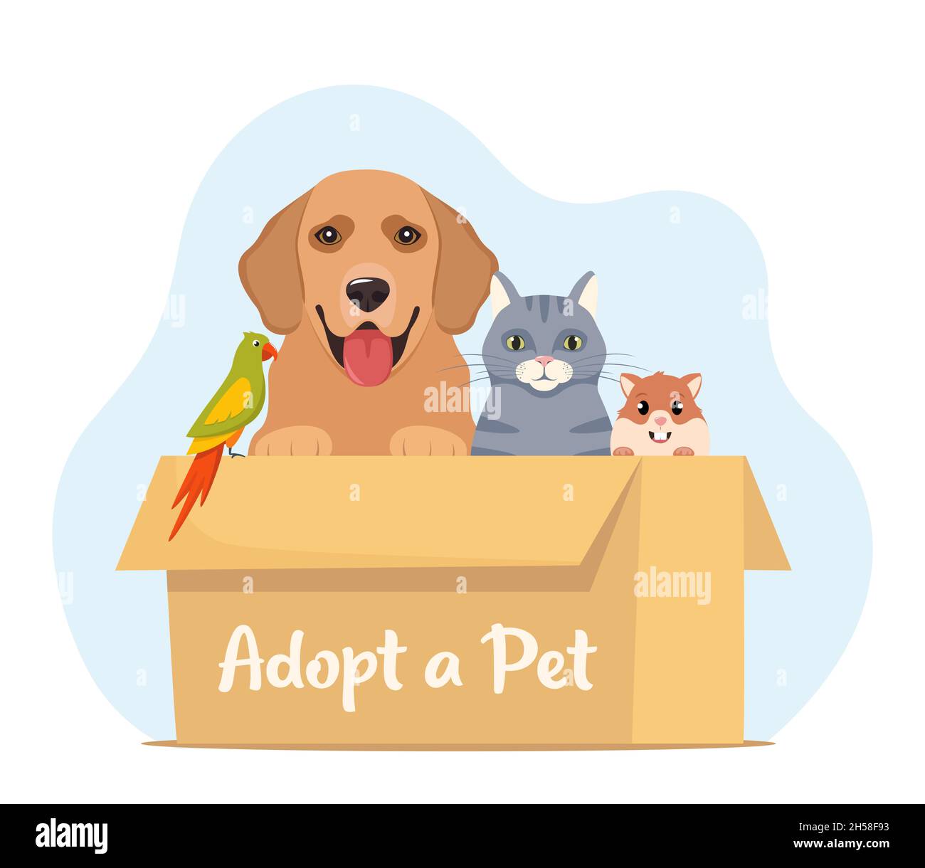 Adopt a pet. Cute homeless puppy, kitten, hamster, parrot inside a ...