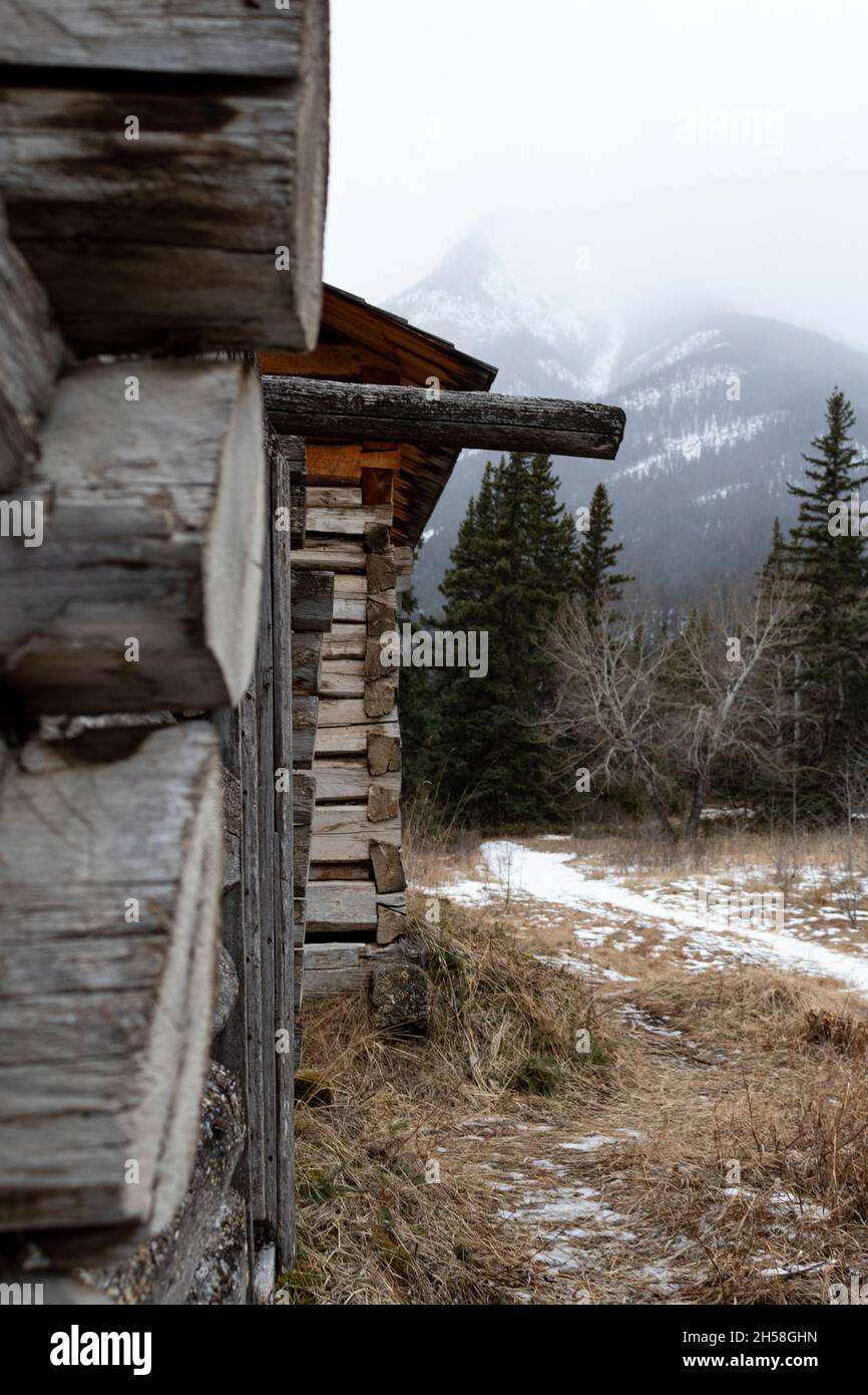 Moberly Homestead from the 19th Century, crumbling log cabin, trace of ...