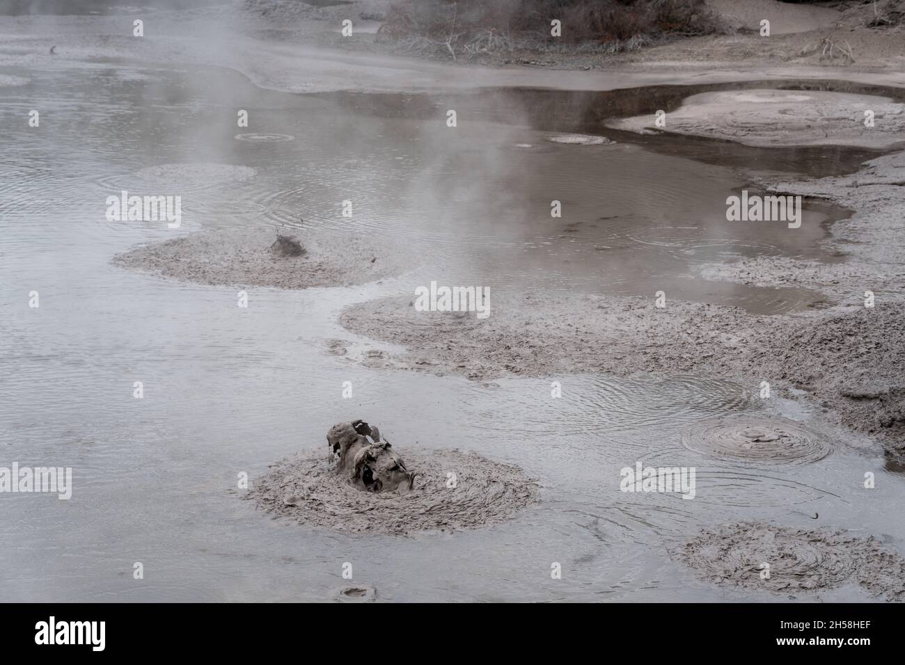 Bubbling hot mud pool in Wai-O-Tapu thermal wonderland, Rotorua, North ...