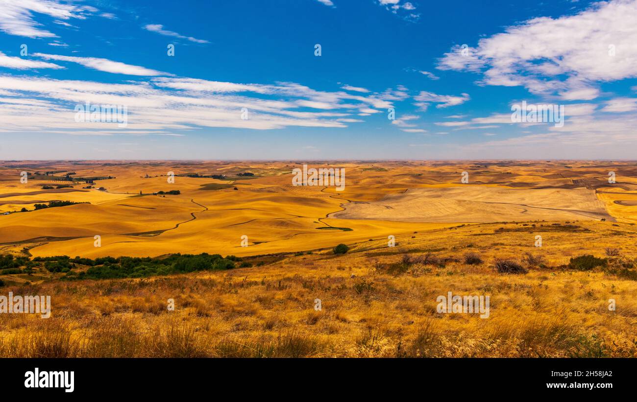 Golden rolling hills of the Palouse during summer in Washington, USA ...