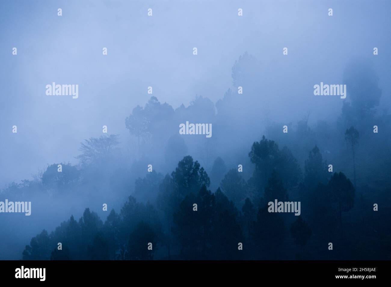 Blue mountains with rain and fog Stock Photo - Alamy