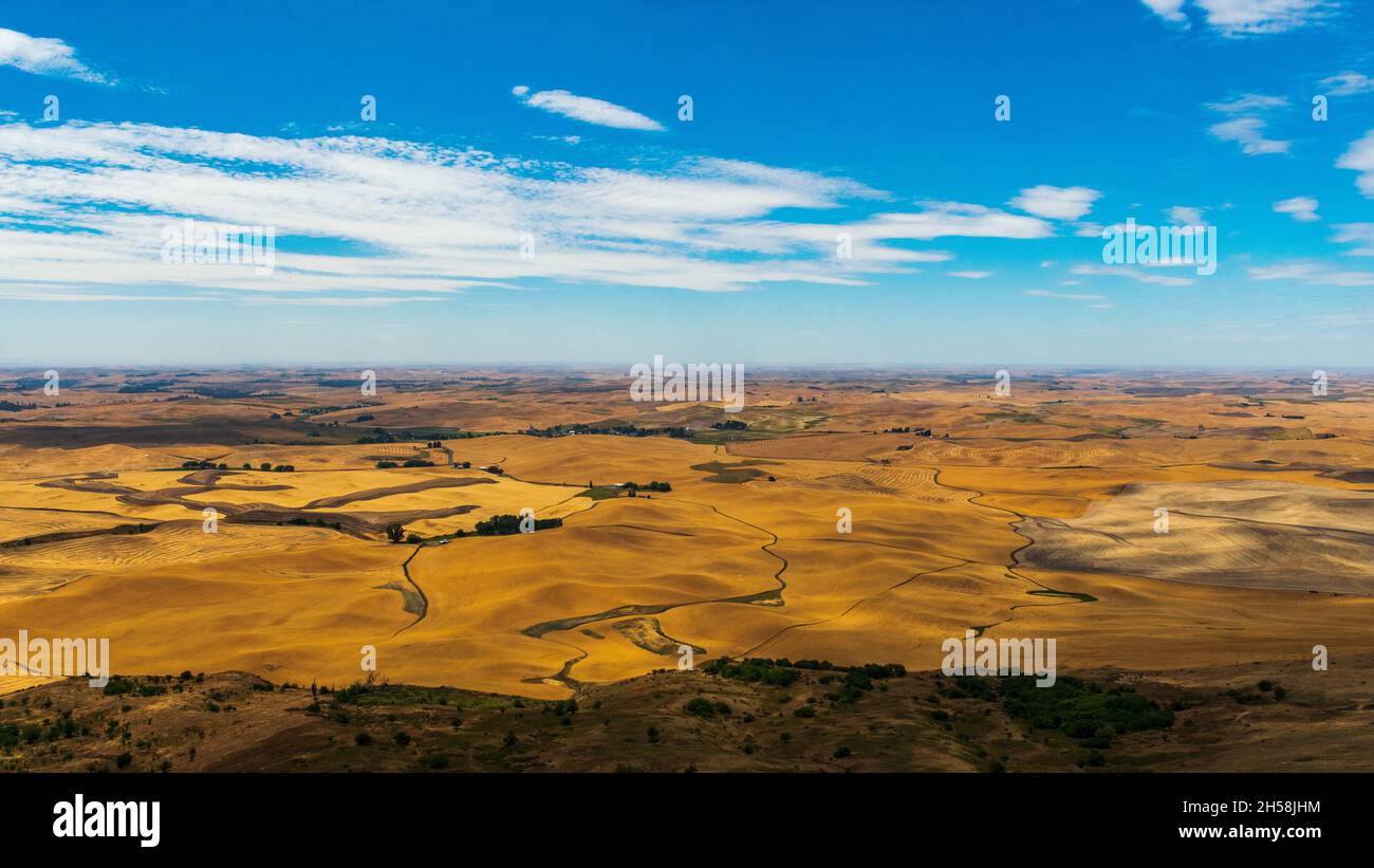 Golden rolling hills of the Palouse during summer in Washington, USA ...