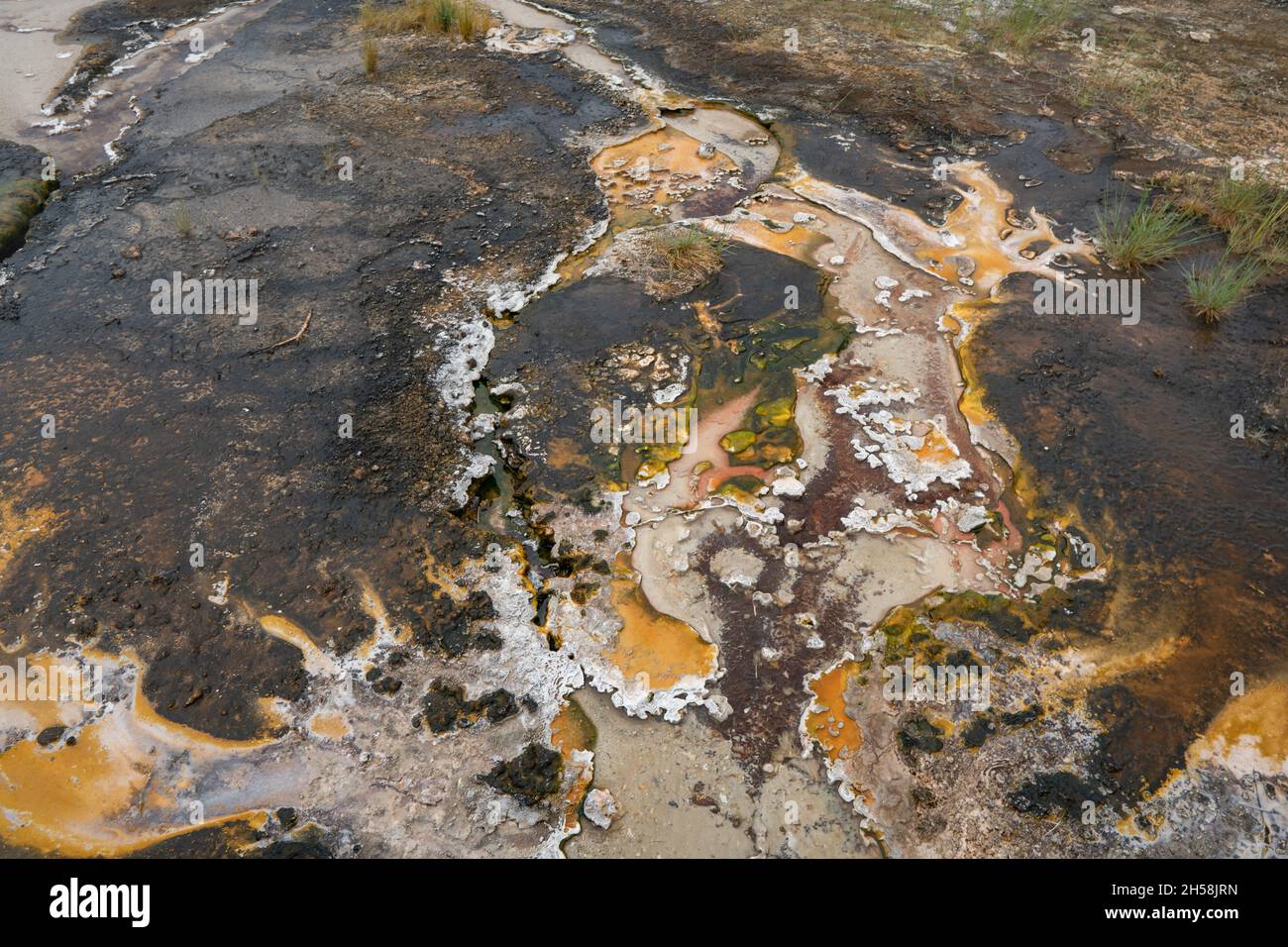Silica mineral formation from thermal activity at Orakei Korako ...