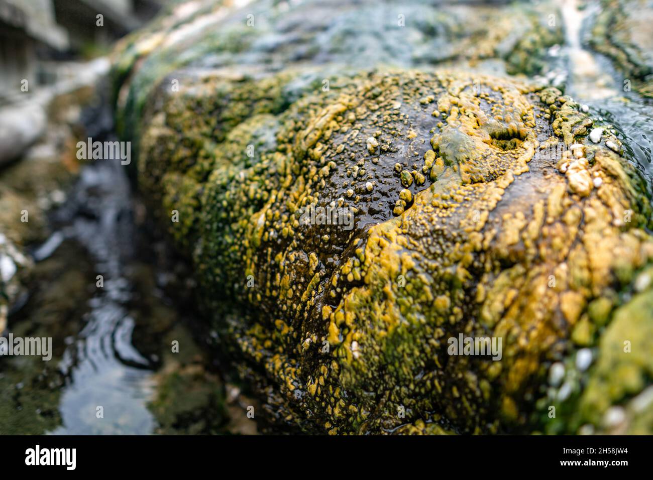 Silica mineral formation from thermal activity at Orakei Korako ...
