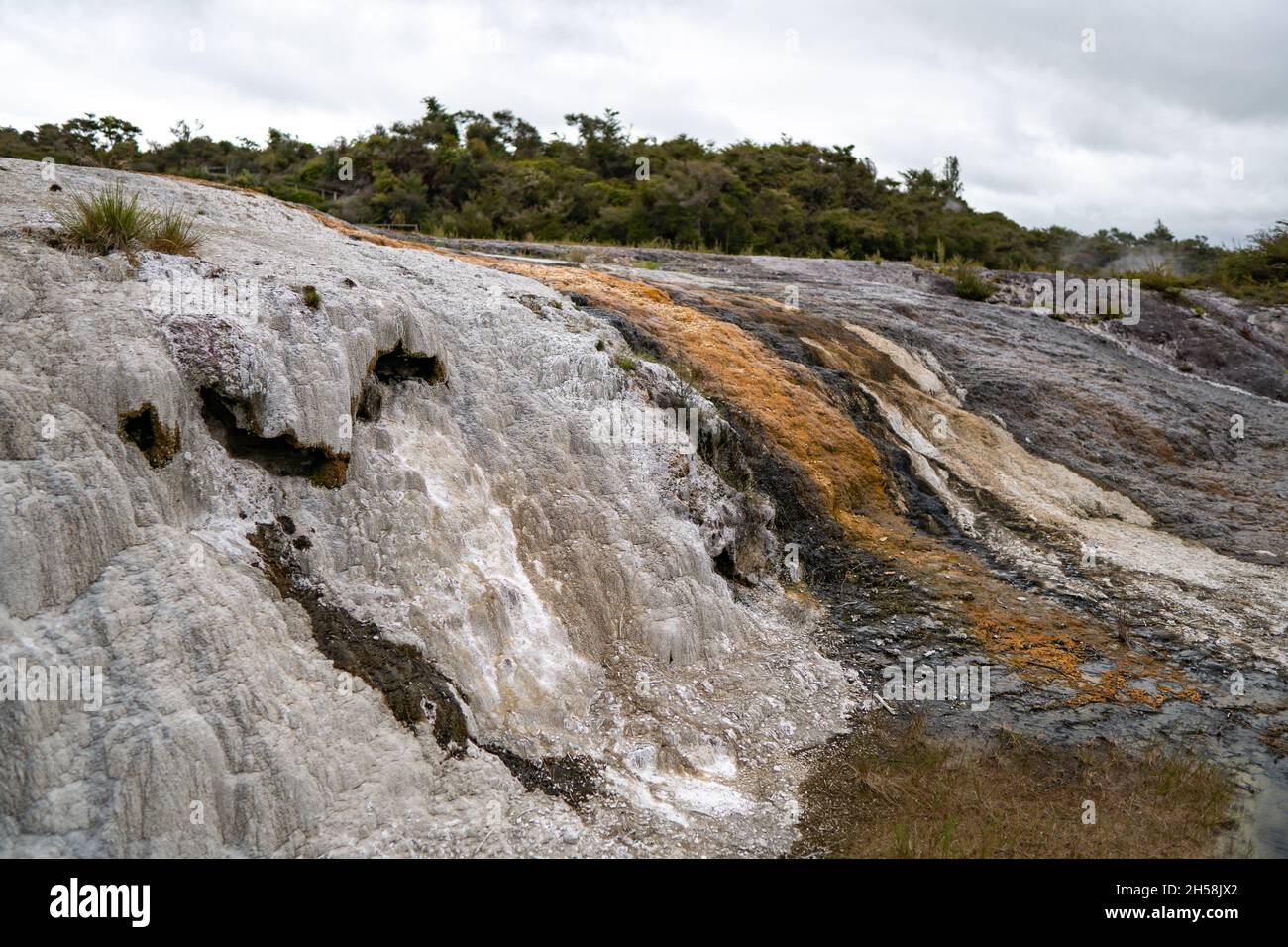 Silica mineral formation from thermal activity at Orakei Korako ...