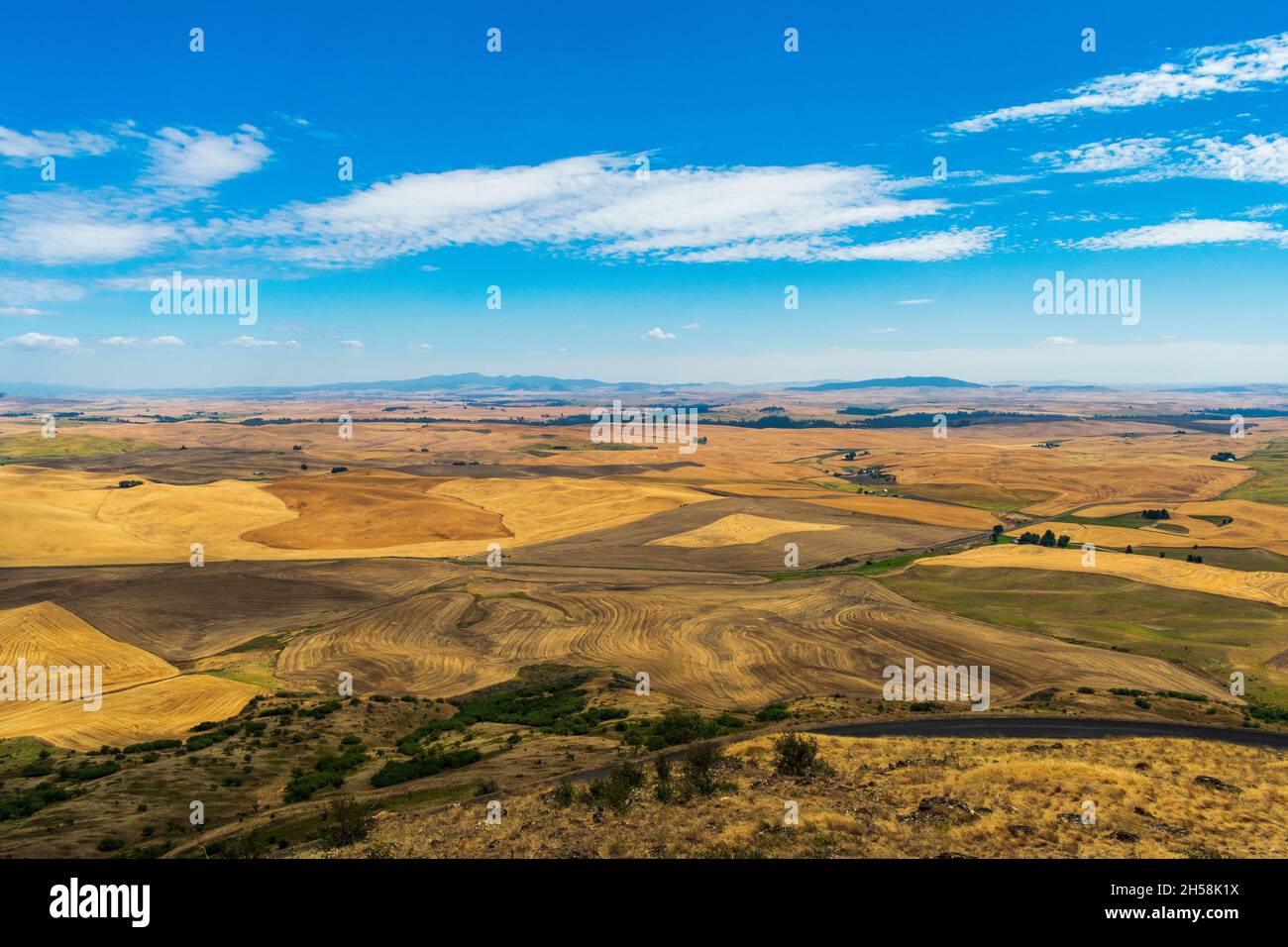 Golden rolling hills of the Palouse during summer in Washington, USA ...