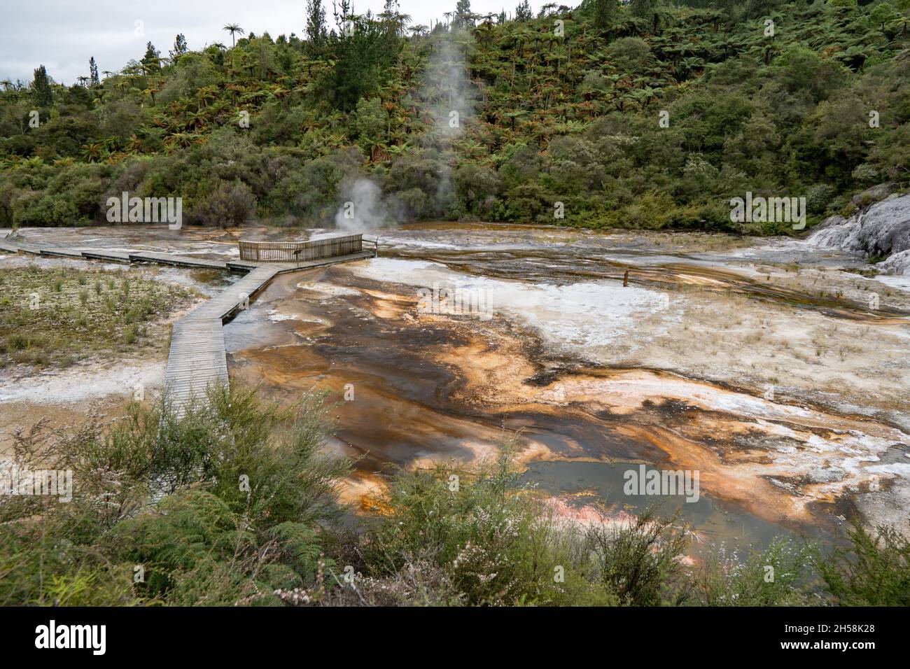 Silica mineral formation from thermal activity at Orakei Korako ...
