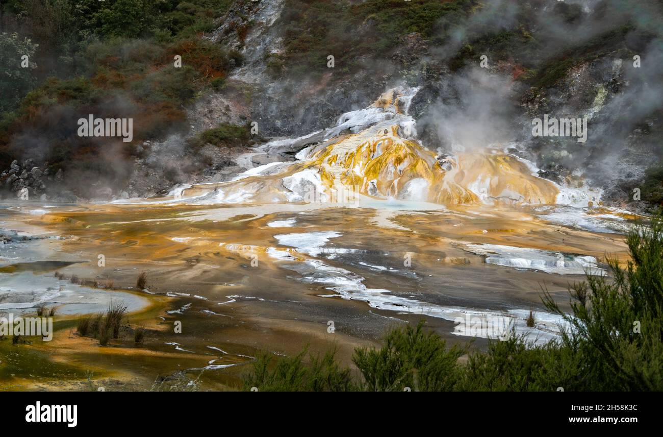 Silica mineral formation from thermal activity at Orakei Korako ...