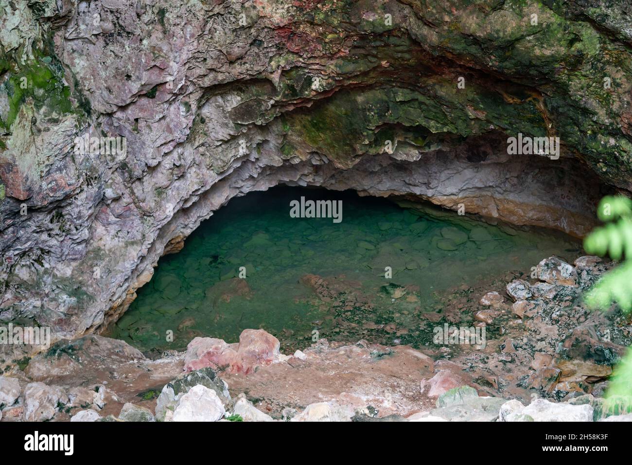 Silica mineral formation from thermal activity at Orakei Korako ...