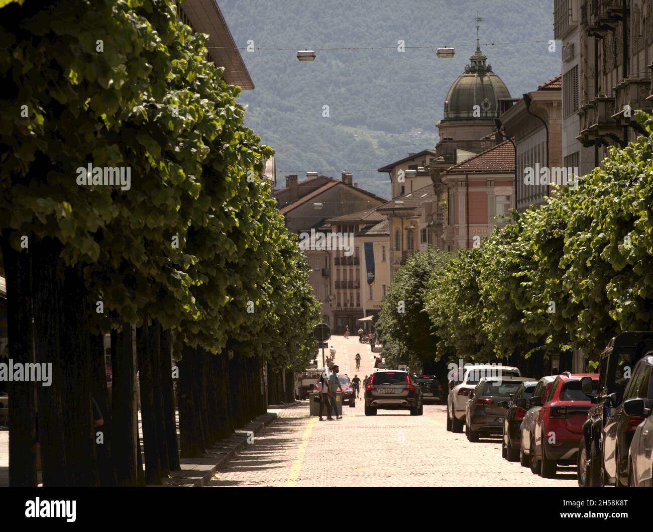 Street with avenue of trees in Bellinzona, Grisons Stock Photo - Alamy
