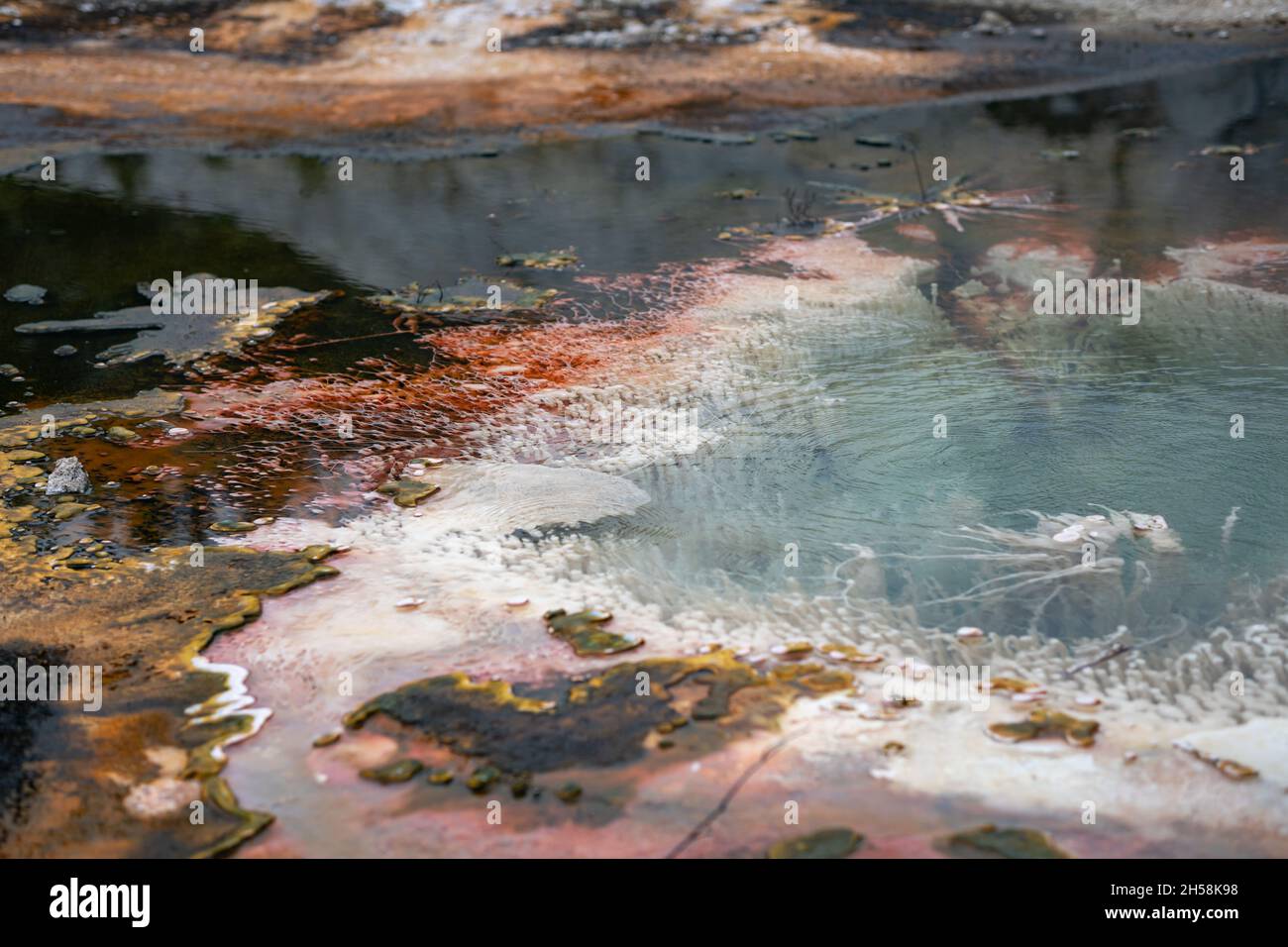 Silica mineral formation from thermal activity at Orakei Korako ...