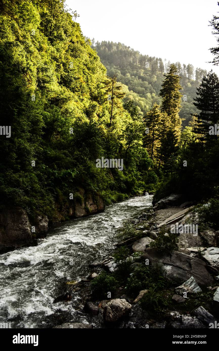 Stream water passing through forest hi-res stock photography and images ... Stream water passing through forest hi-res stock photography and images ...