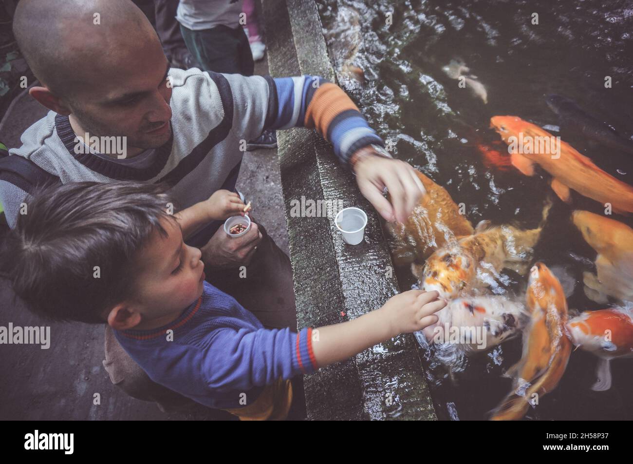 POZNAN, POLAND - Nov 20, 2016: A baby boy and his father watching koi ...