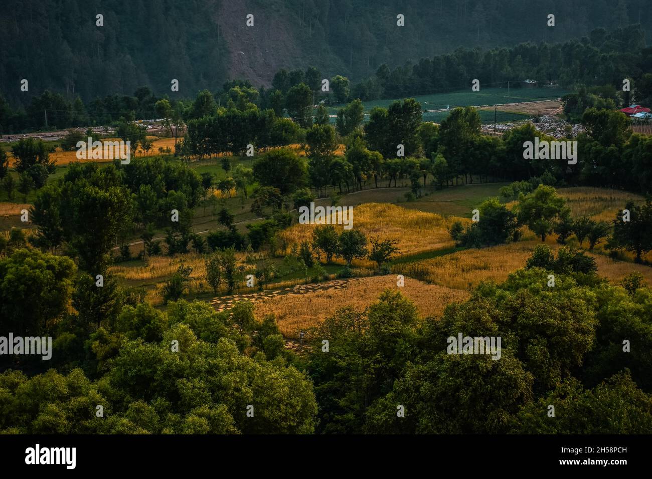 Cliff top meadows hi-res stock photography and images - Alamy