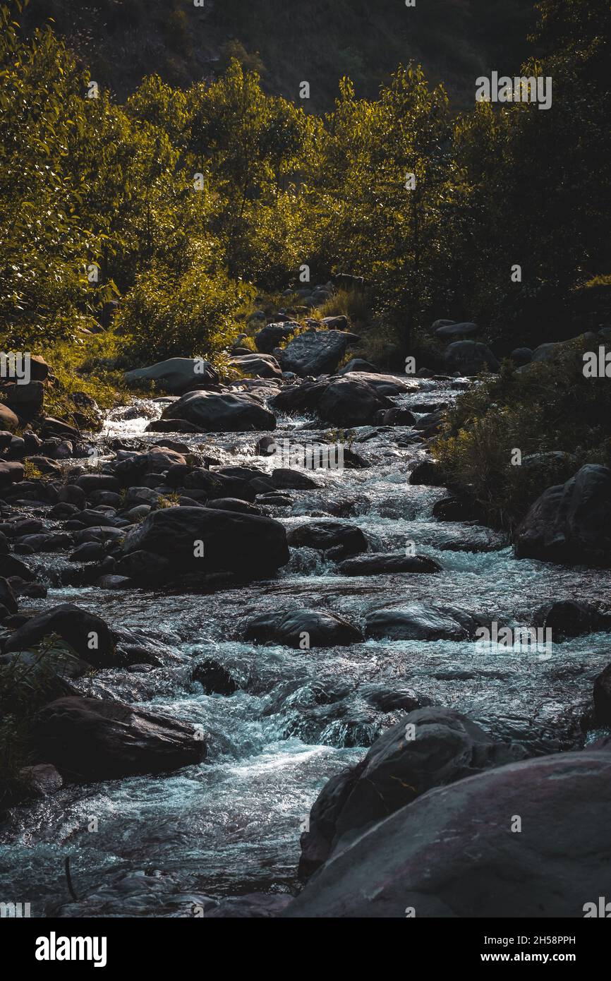 Stream passing through the forest Stock Photo - Alamy