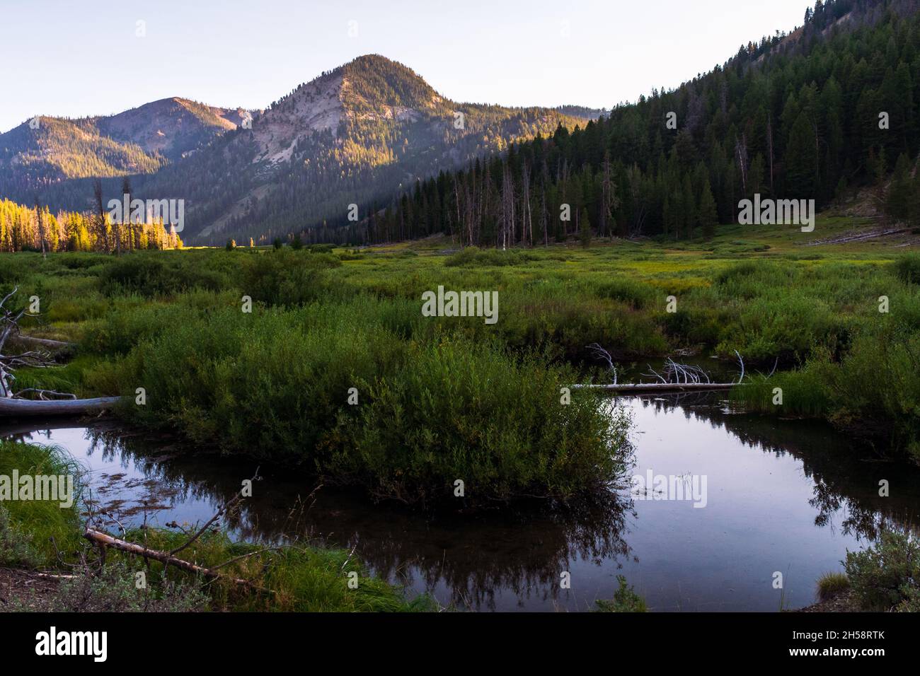 Headwaters of the Salmon River in the Sawtooth National Recreation Area ...