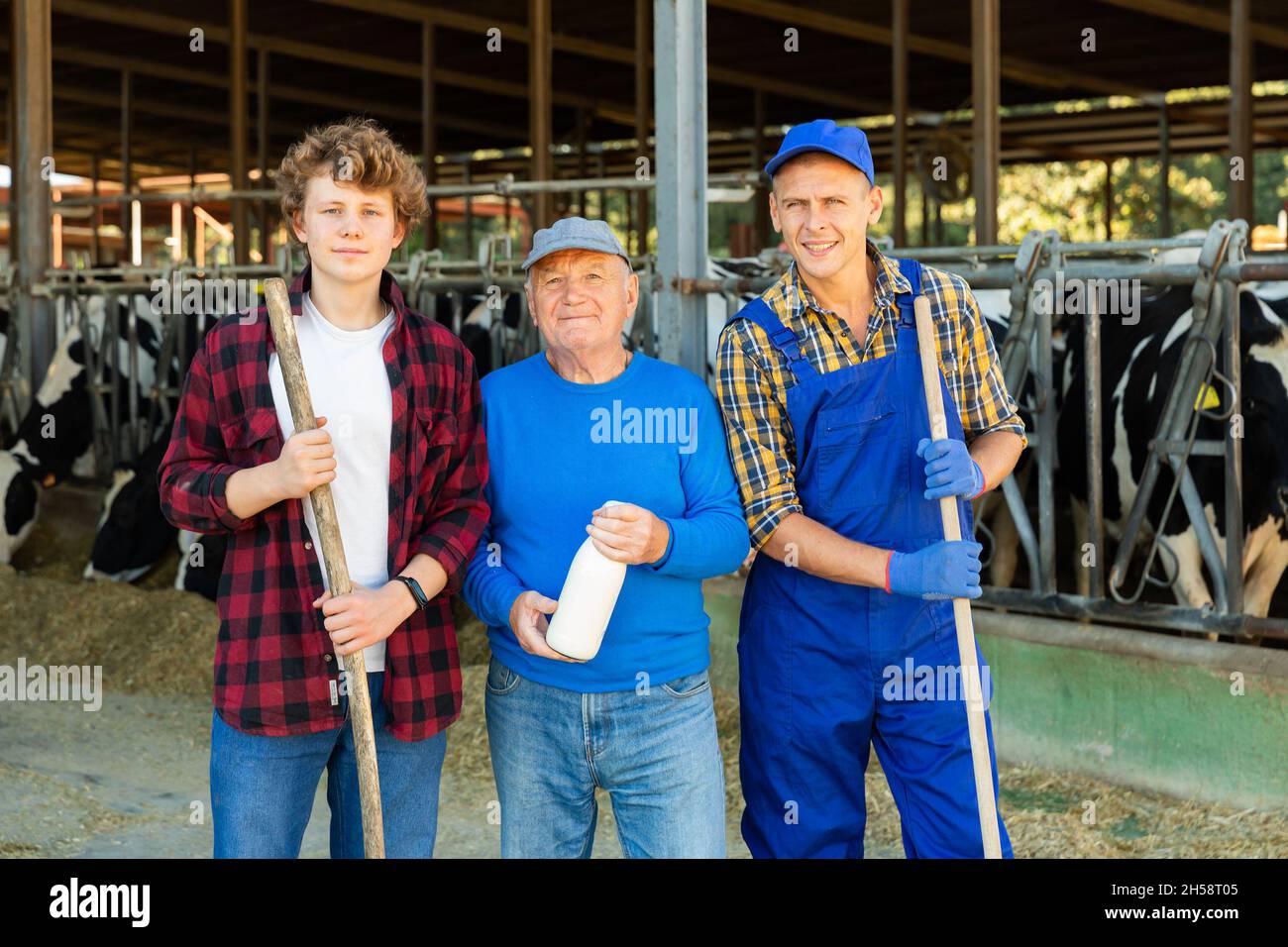Positive elderly cow breeder with adult son and teenage grandson in ...