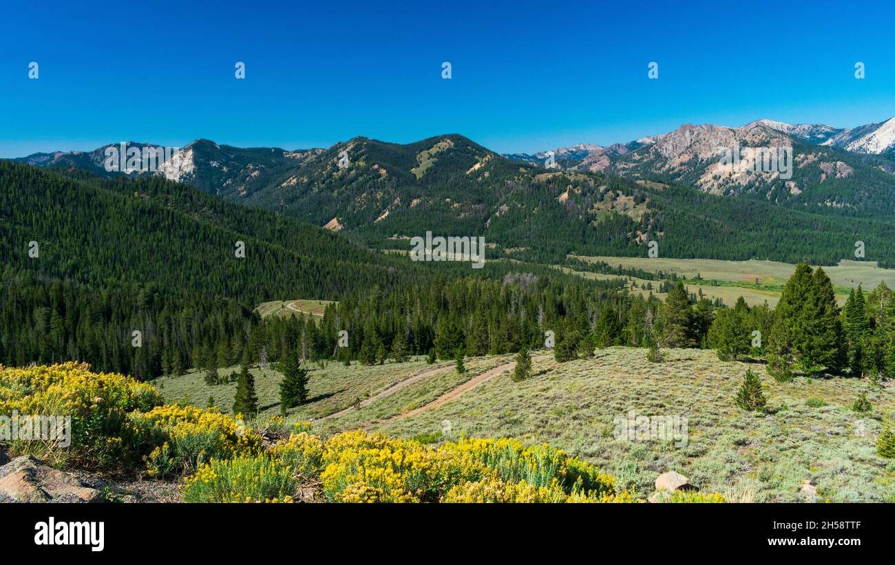 Road traverses the hills in the Sawtooth National Recreation Area ...