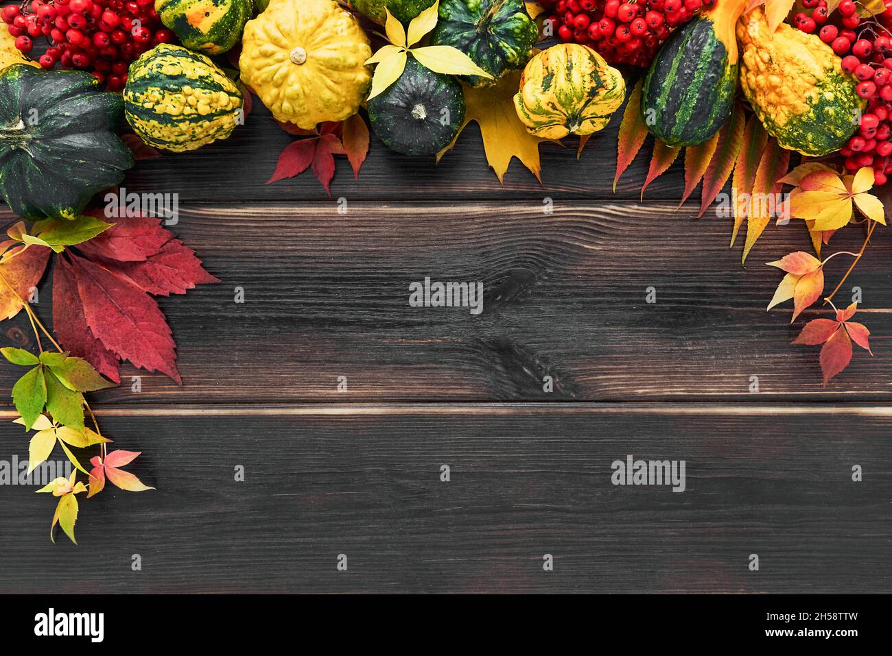 Thanksgiving day concept festive hi-res stock photography and images ...