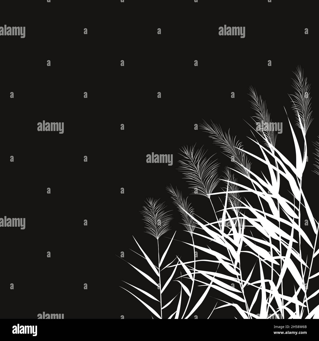 Swamp sedge Stock Vector Images - Alamy