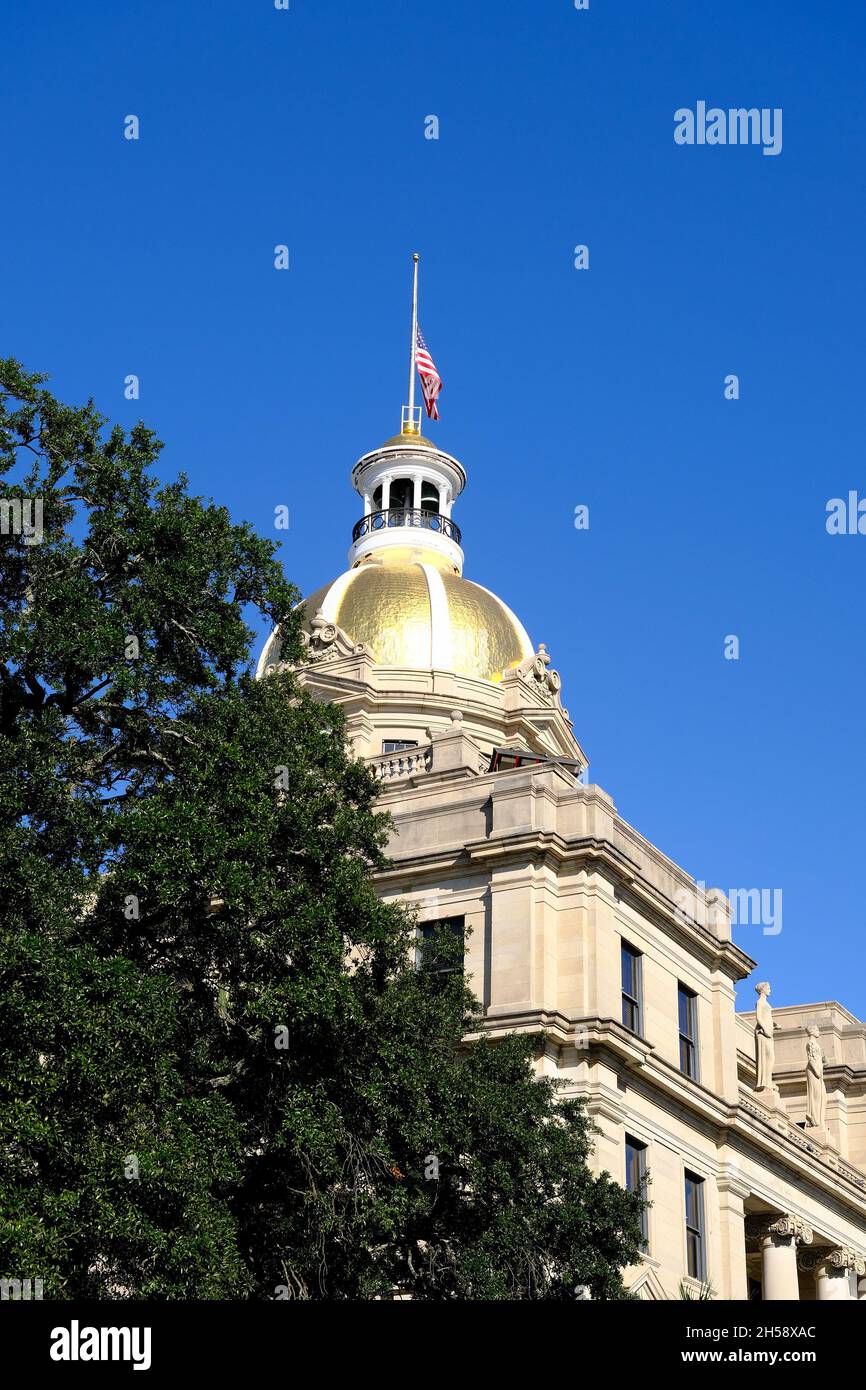 Gold Dome Beyond Trees Stock Photo - Alamy