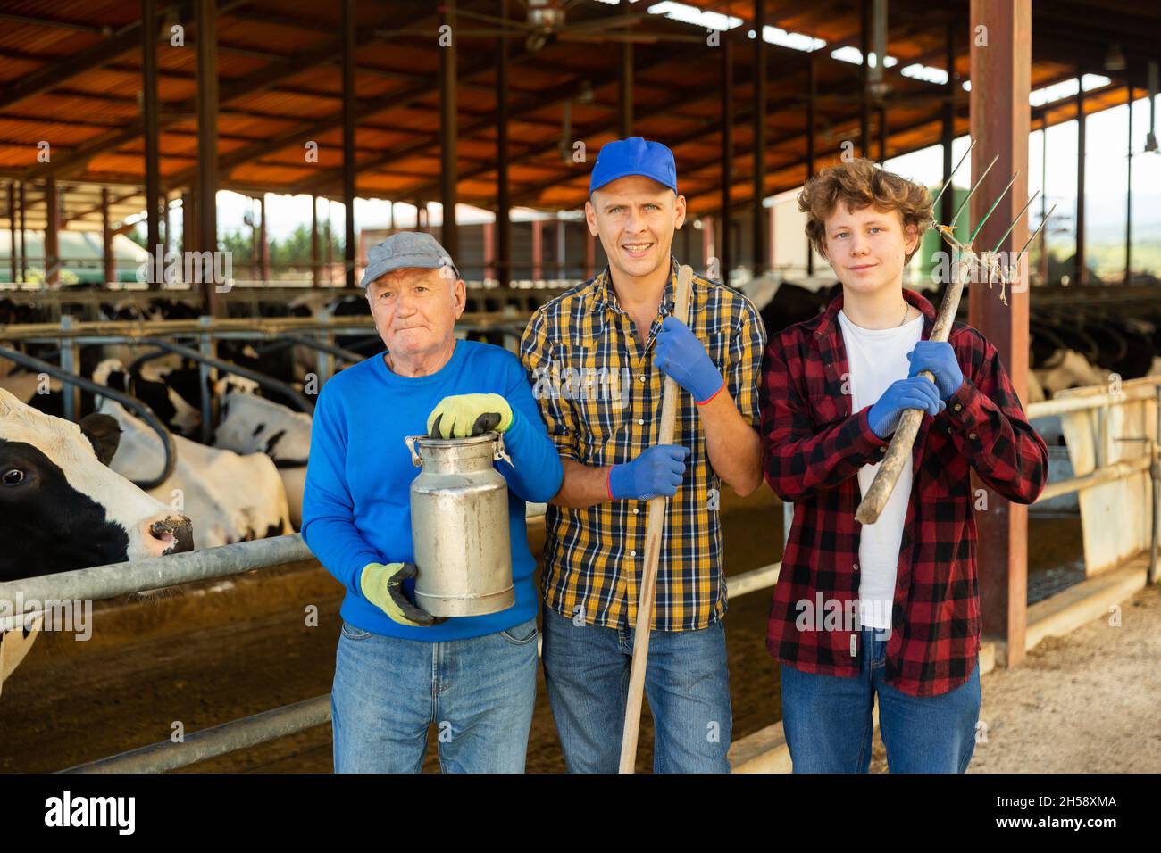 Positive elderly cow breeder with adult son and teenage grandson in ...