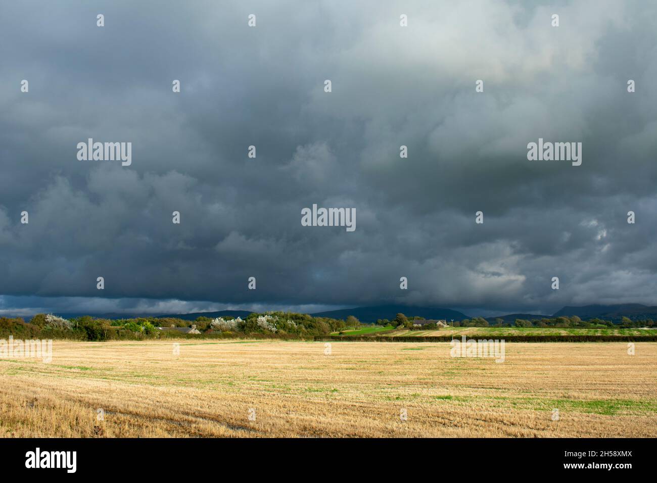 Typical british countryside hi-res stock photography and images - Alamy