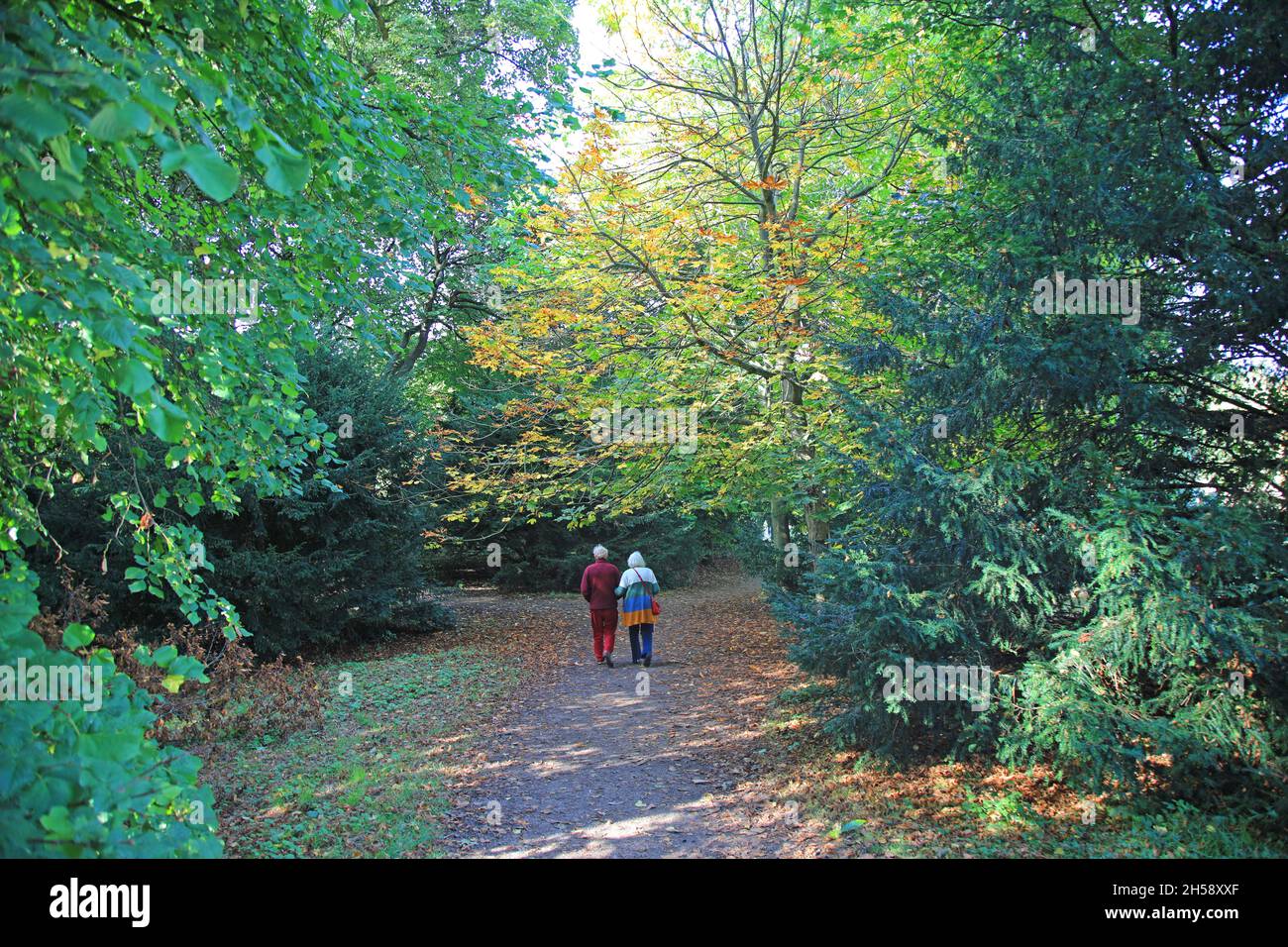Calke abbey park hi-res stock photography and images - Alamy