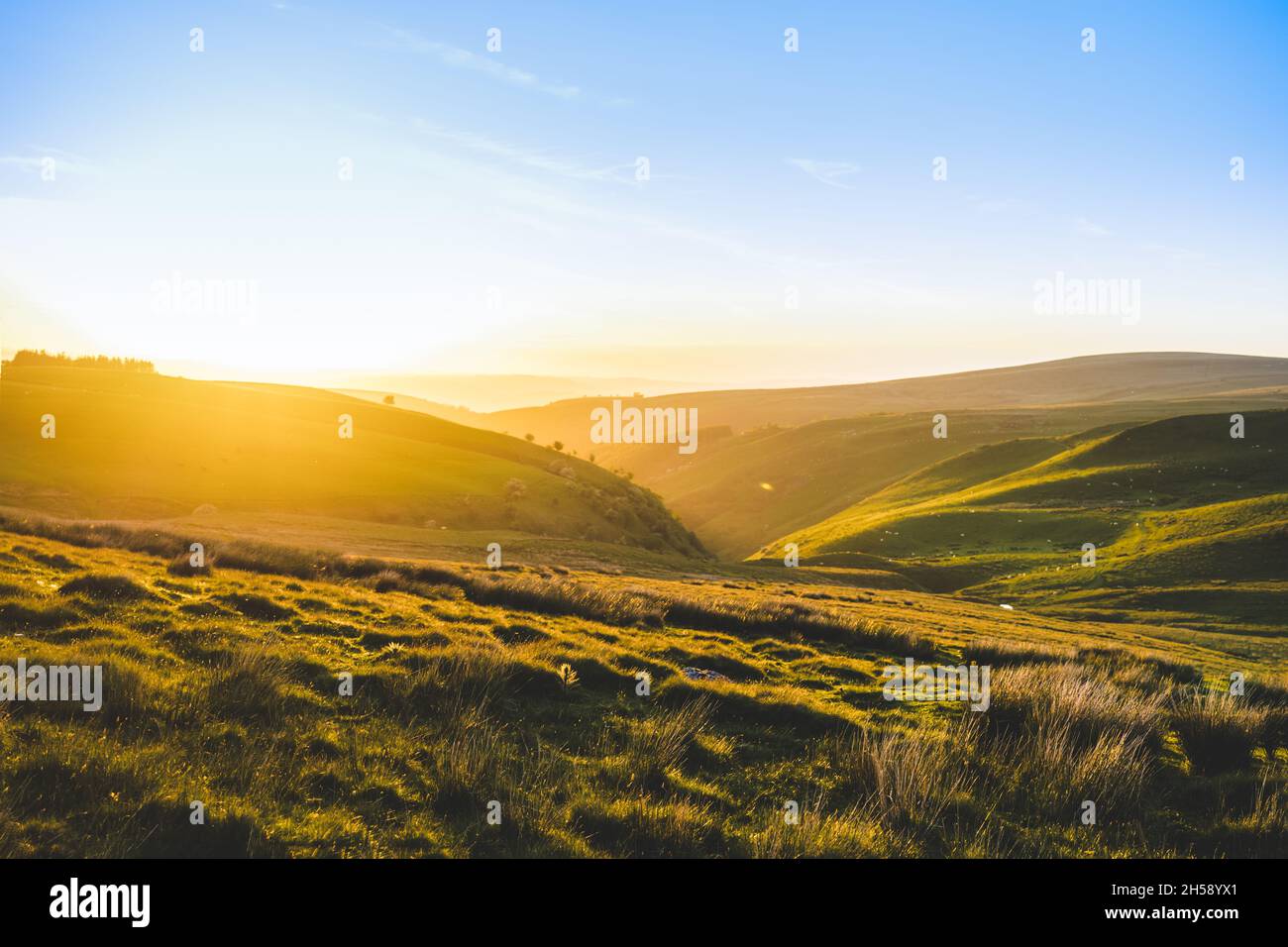 Beautiful landscape view of green fields and meadows at sunset in ...