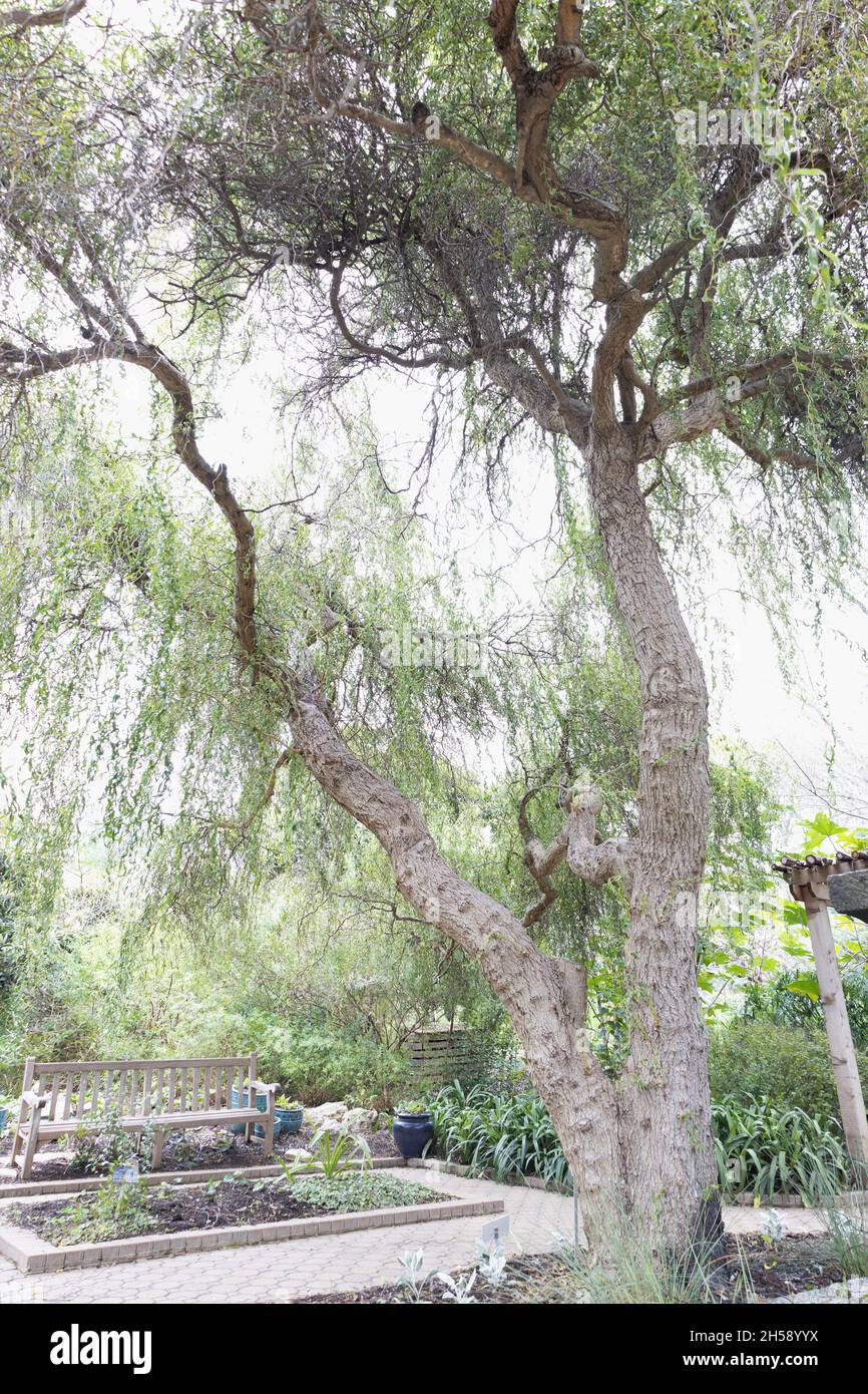 Hankow hi-res stock photography and images - Alamy