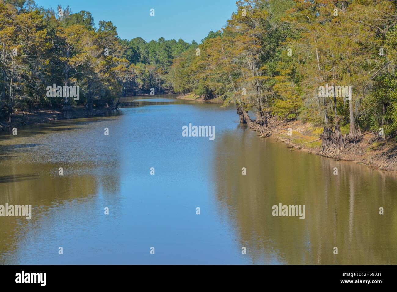 A scenic river flowing in Webster Parish in Louisiana Stock Photo - Alamy