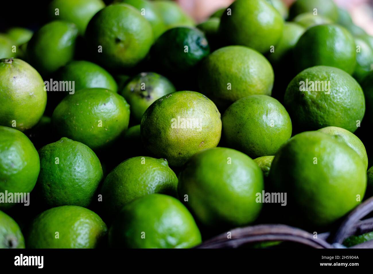 Lemons for sale at the famous and grandiose São Joaquim fair in ...