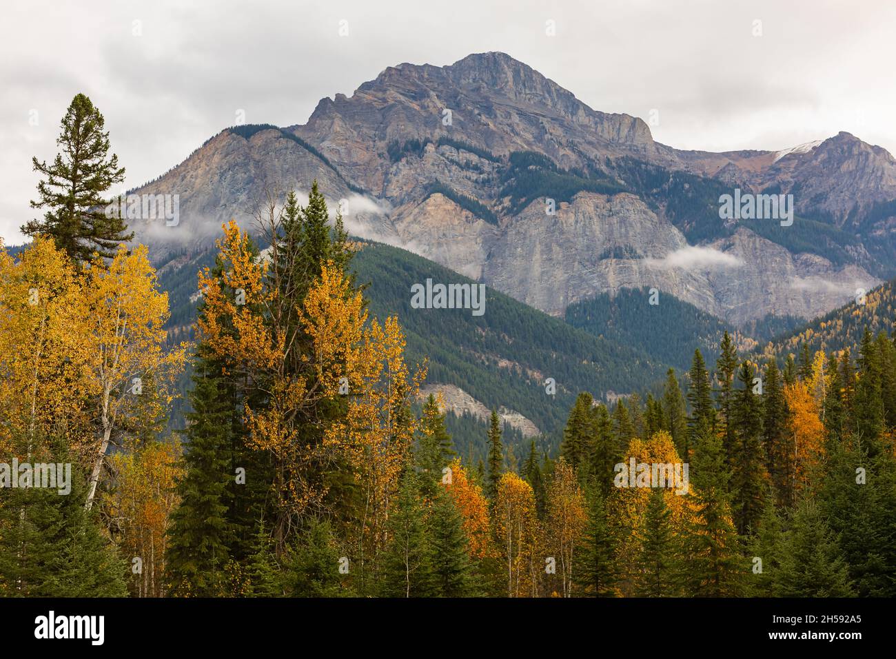 Banff national parks hi-res stock photography and images - Alamy