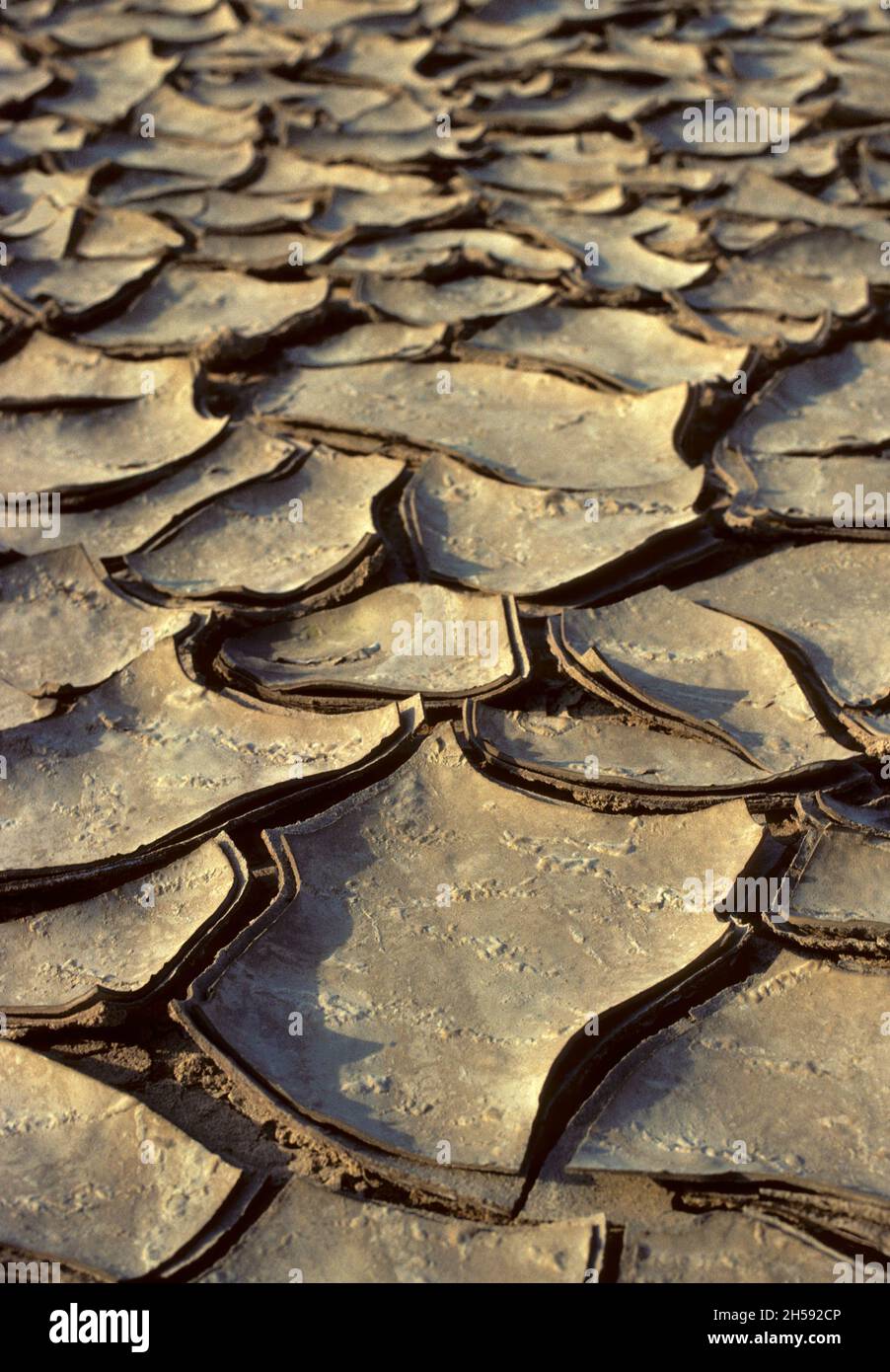 Dyhydrated hi-res stock photography and images - Alamy